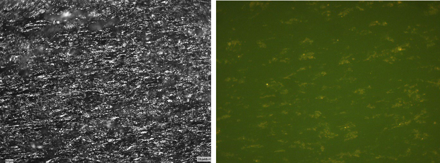 Data and publications | Geoscience Australia