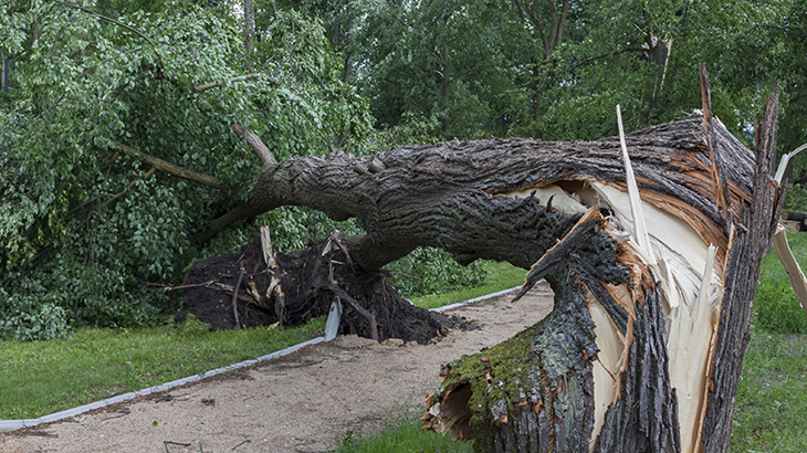 Tropical cyclone & severe wind | Geoscience Australia