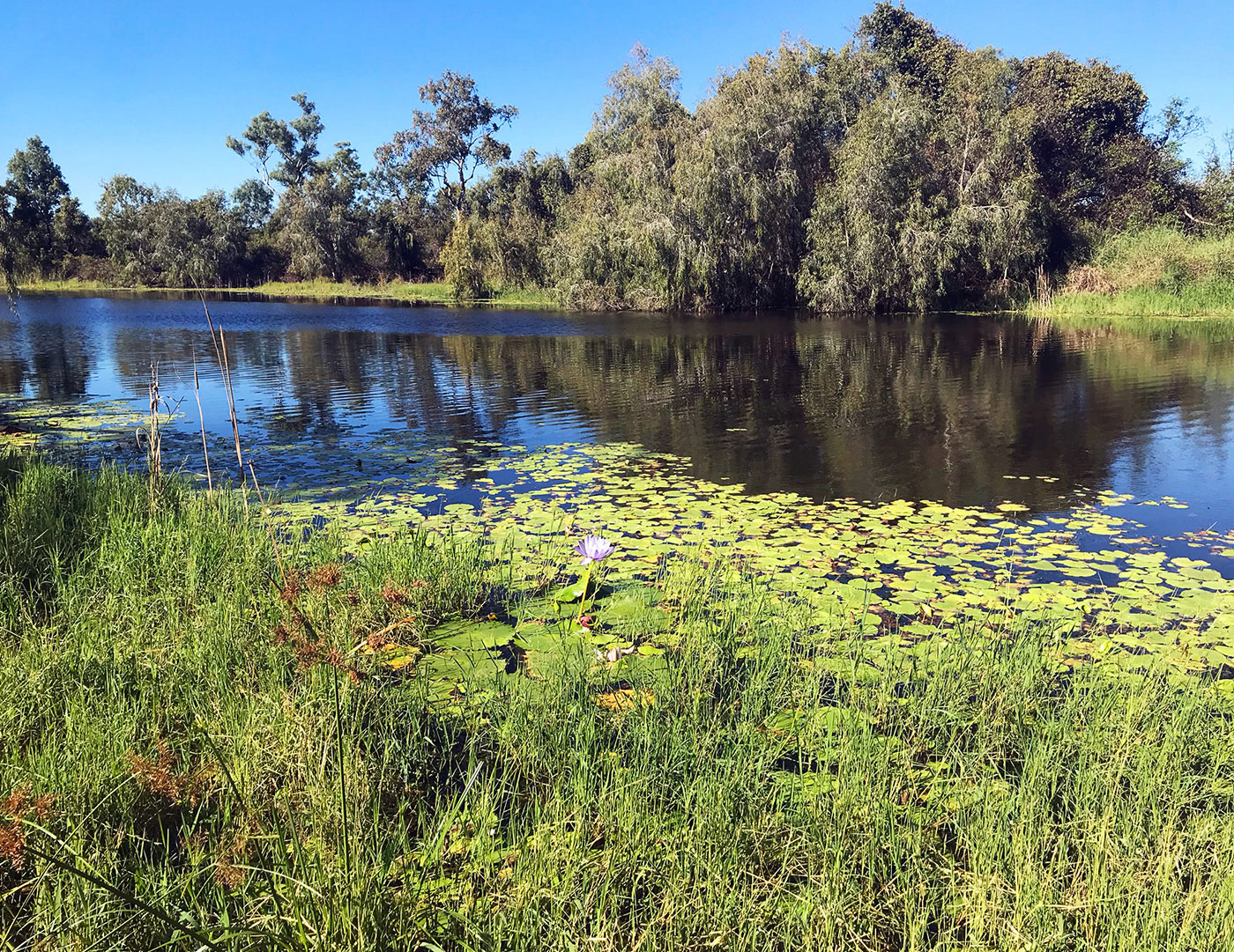 North Bowen basin region | Geoscience Australia